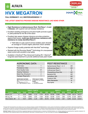 Winfield United - Document