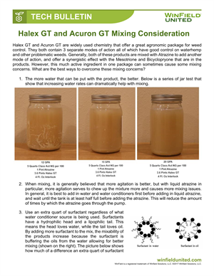 Winfield United - Document