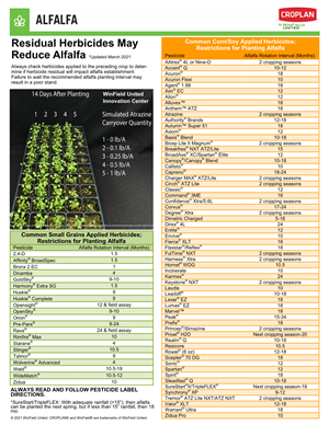 Winfield United - Document