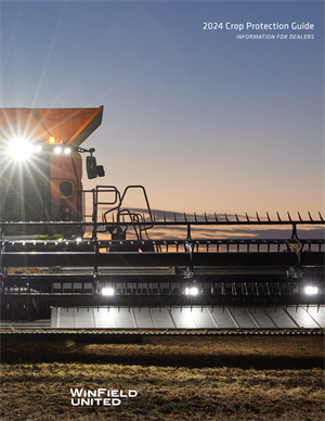 Winfield United - Document