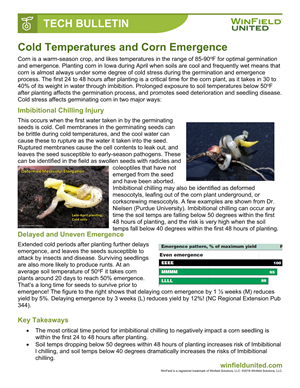 Winfield United - Document