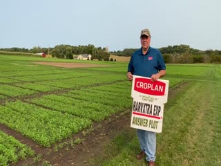 Winfield United - Document