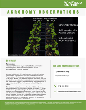 Winfield United - Document